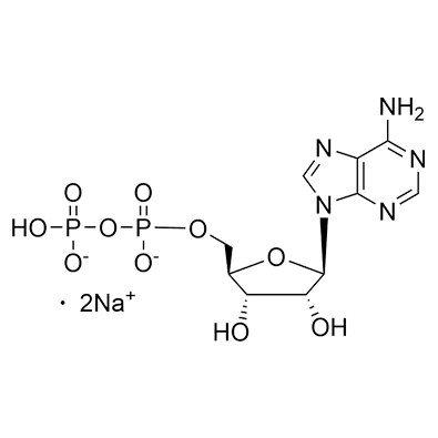 ADP·Free Acid Cas No. 58-64-0: huarensh